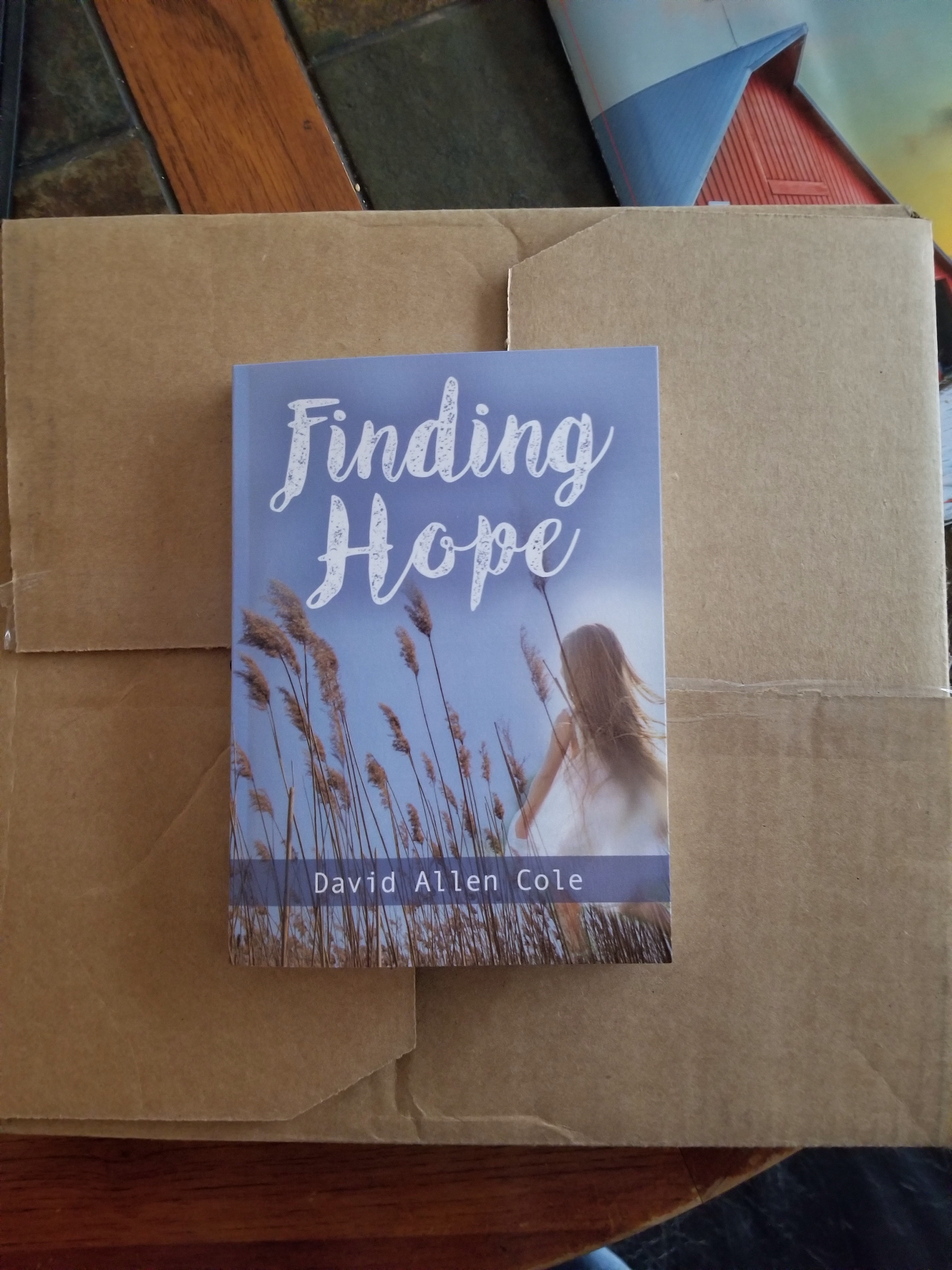 Finding Hope is now for sale – David Allen Cole